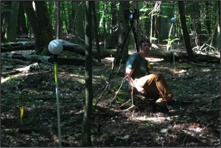 Forest Canopy Structure: What Does That Mean and Why Does It Matter ...