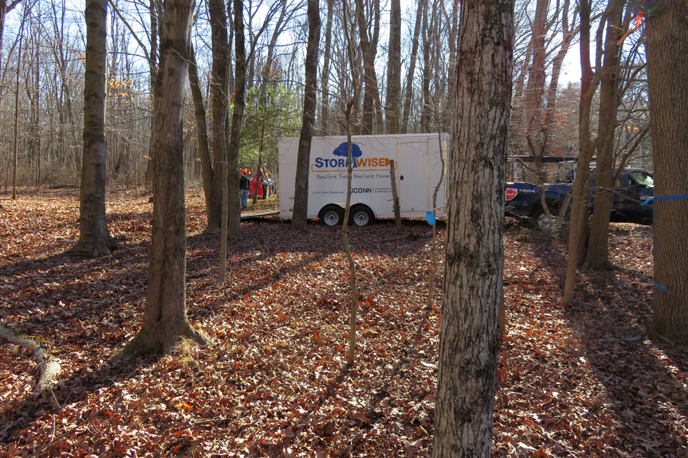 Stormwise Happenings, March 2018 | Stormwise Forest Management ...