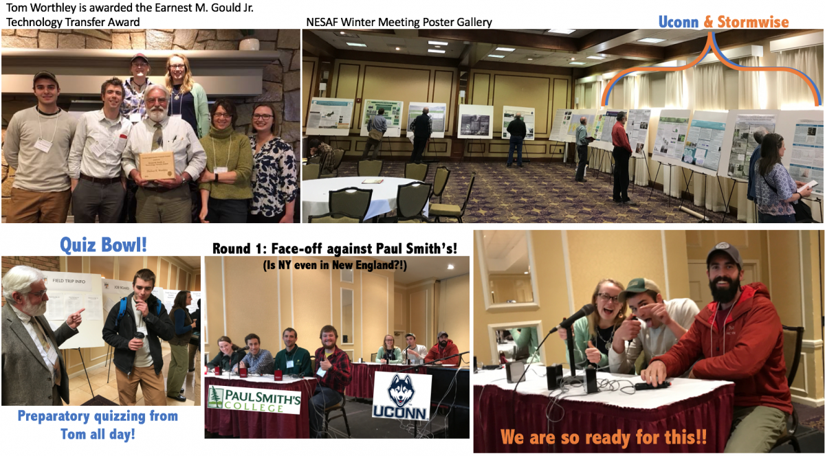 New England Society of American Foresters | Stormwise Forest Management